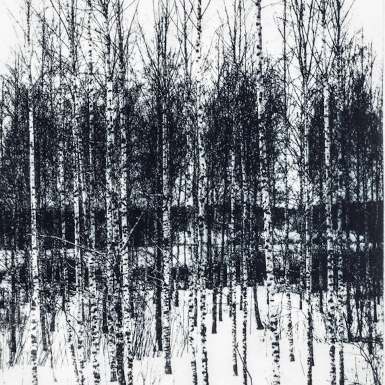Sarah Duncan - Neula, Sarah Duncan, Limited Edition Print, Forest Art ...