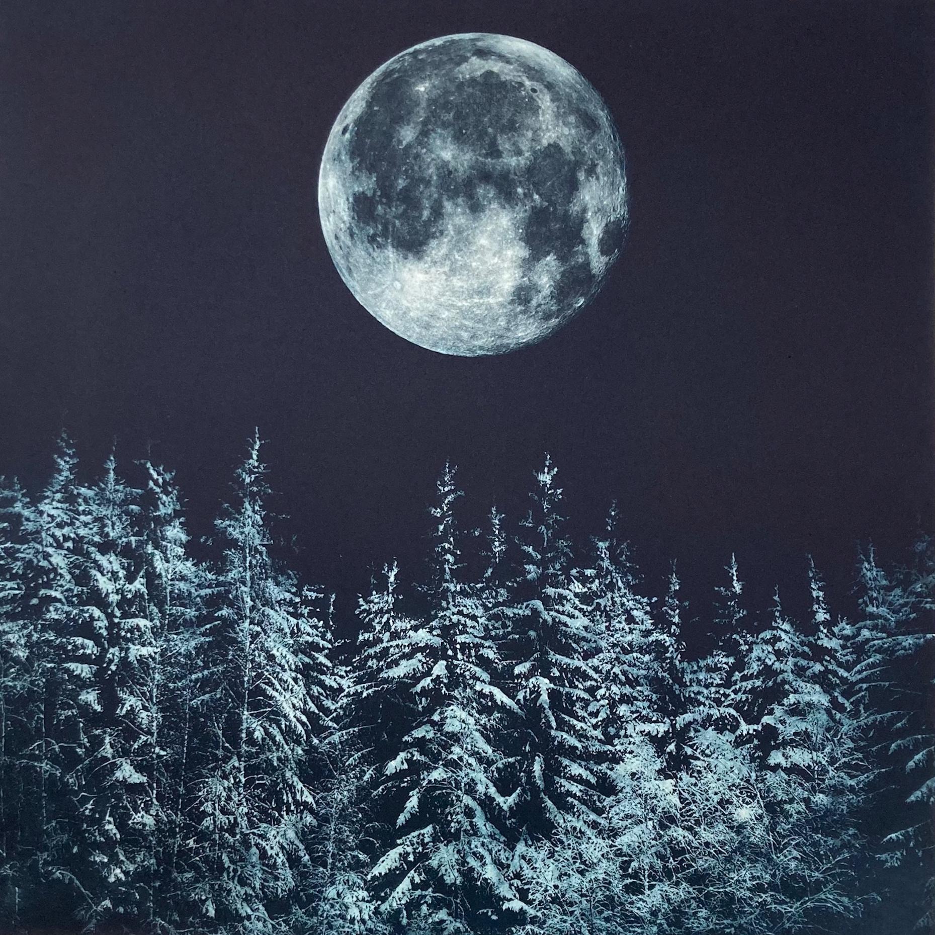 Sarah Duncan - Montague For Sale at 1stDibs