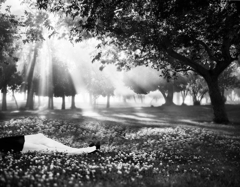 Sarah Hadley - What I Remember For Sale at 1stDibs