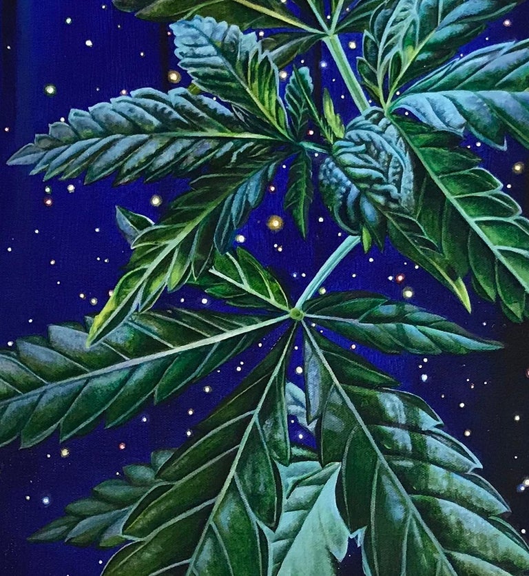 Sarah Jacobs - Tacky, Original Signed Contemporary Botanical Marijuana ...
