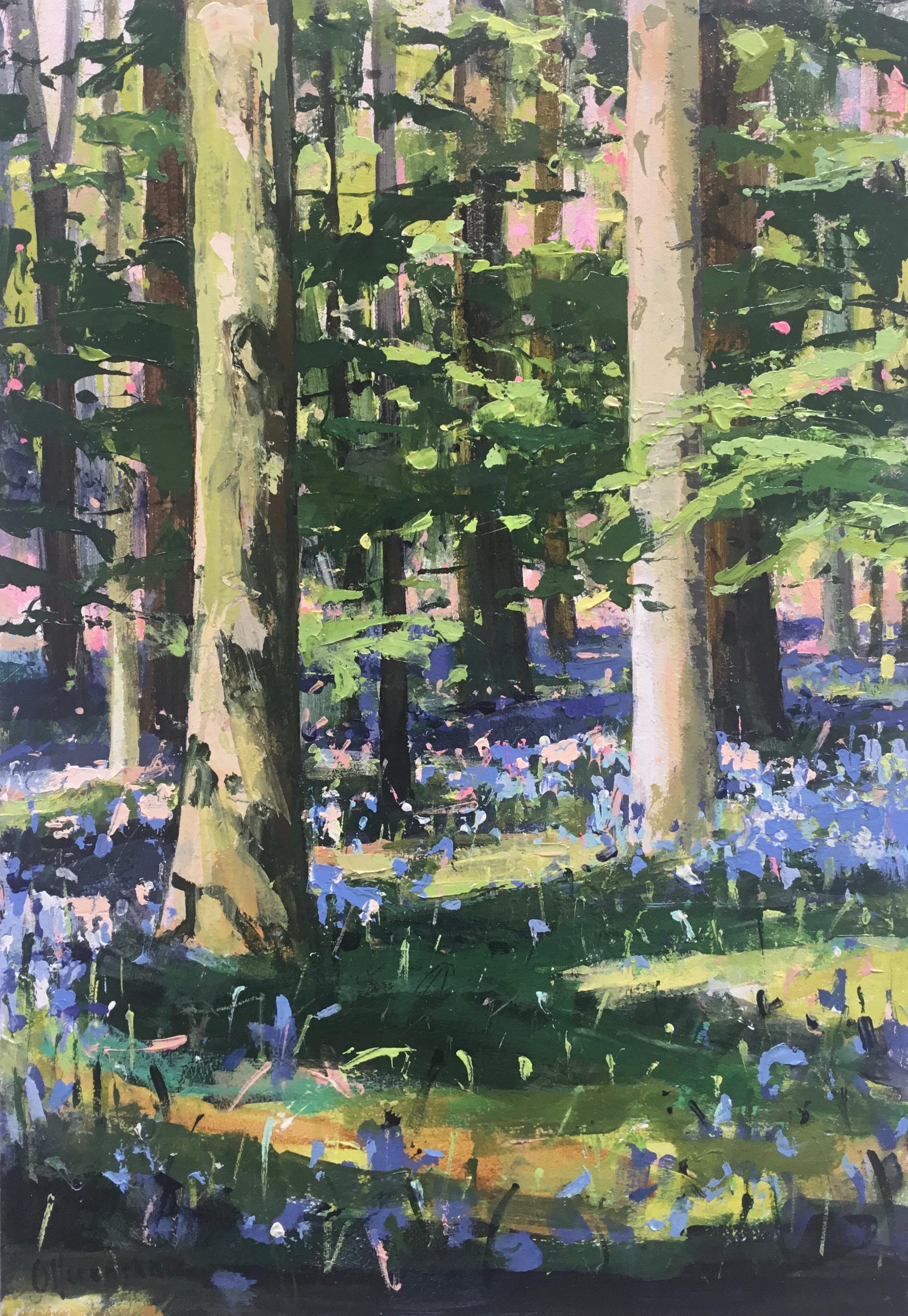 Sarah Ollerenshaw - Precious Grace appeared- original Bluebells Forest ...