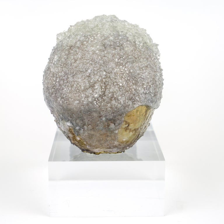 Sarah Raskey - Crystal Skull Sculpture, Sarah Raskey For Sale at 1stDibs