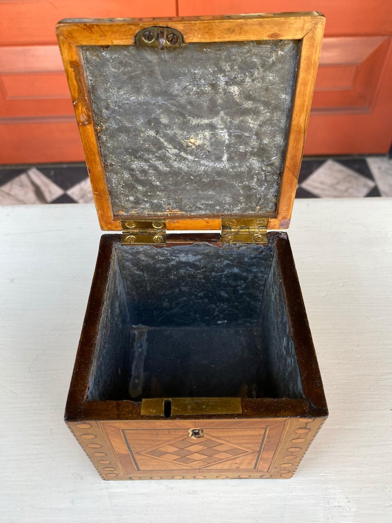 Satinwood inlaid cube tea caddy For Sale at 1stDibs