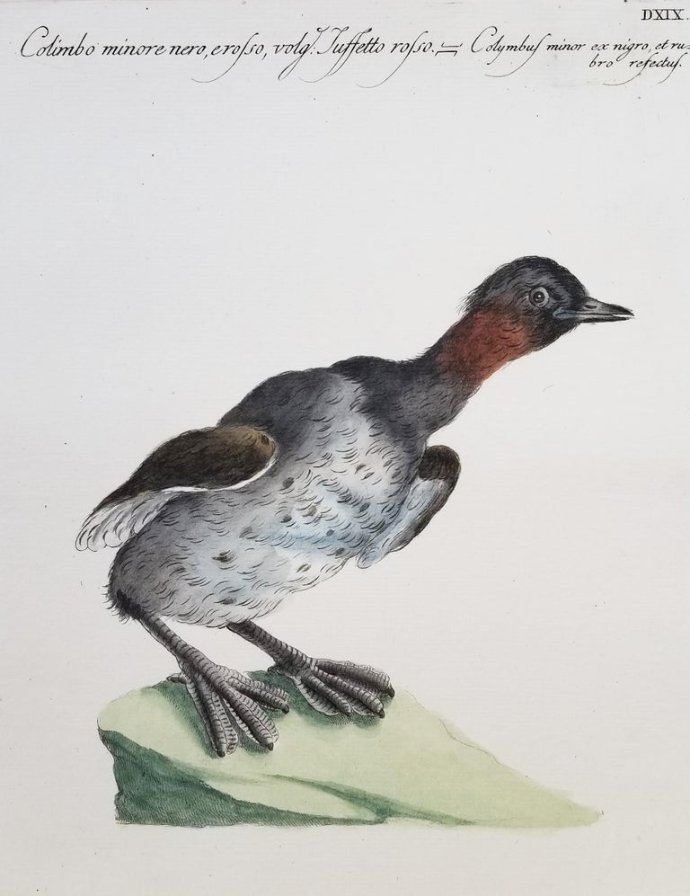 Saverio Manetti - Grèbe sur 1stDibs