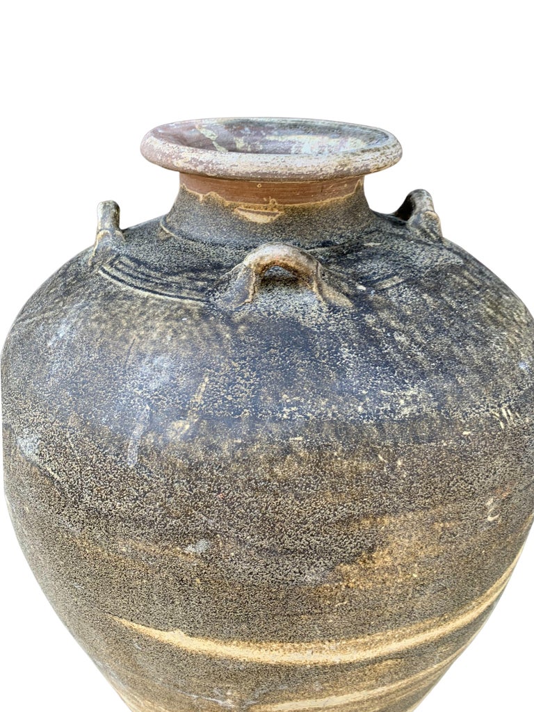 Sawankhalok Ship Wreck Jar From the Kingdom of Sukhothai, Thailand ...