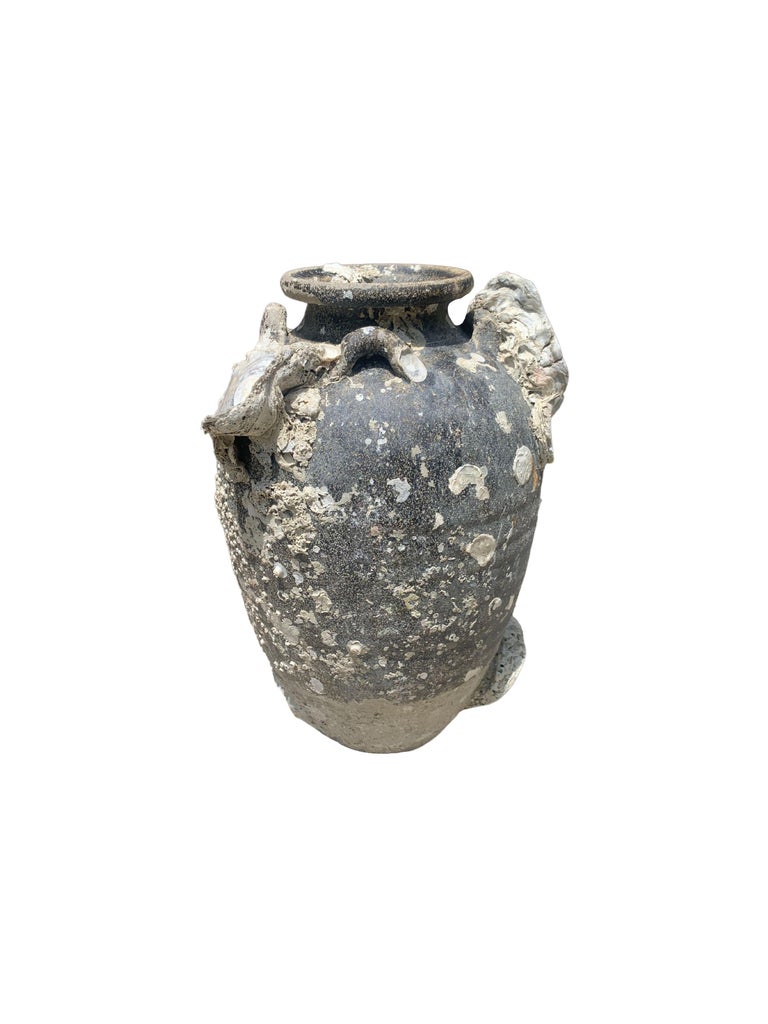 Sawankhalok Ship Wreck Jar from the Kingdom of Sukhothai, Thailand ...