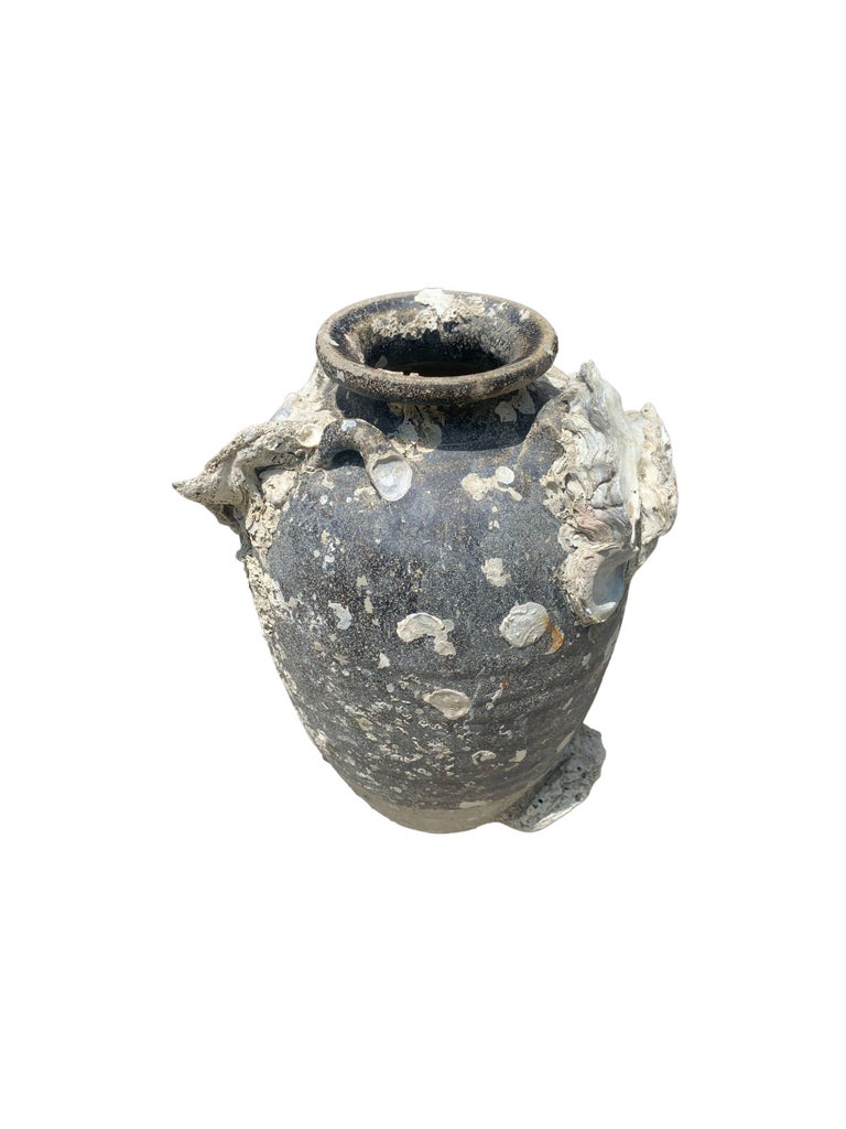 Sawankhalok Ship Wreck Jar from the Kingdom of Sukhothai, Thailand ...