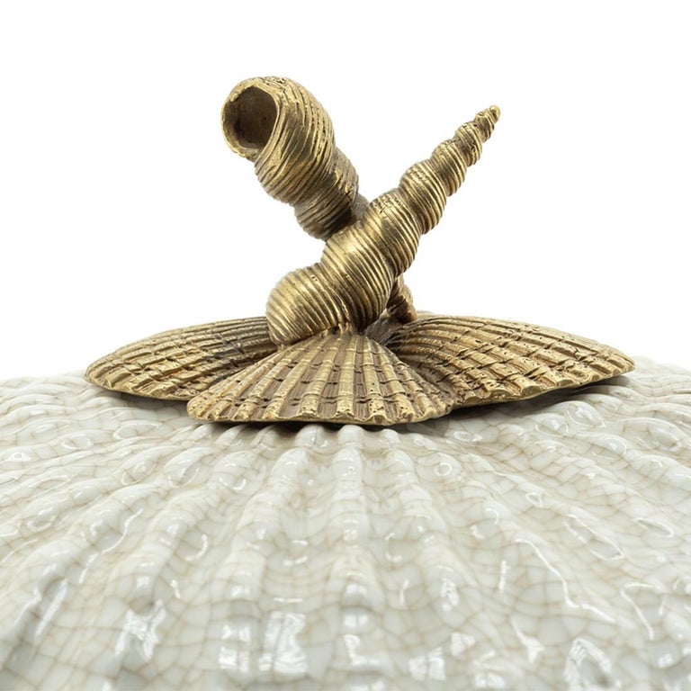 Scallop Shell Box For Sale at 1stDibs