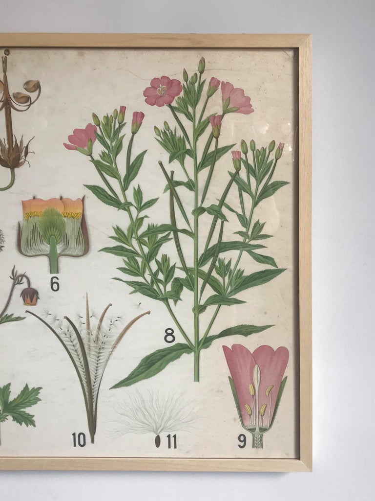 Scandinavian Mid-Century Modern Floral Botanical Illustrations Poster ...