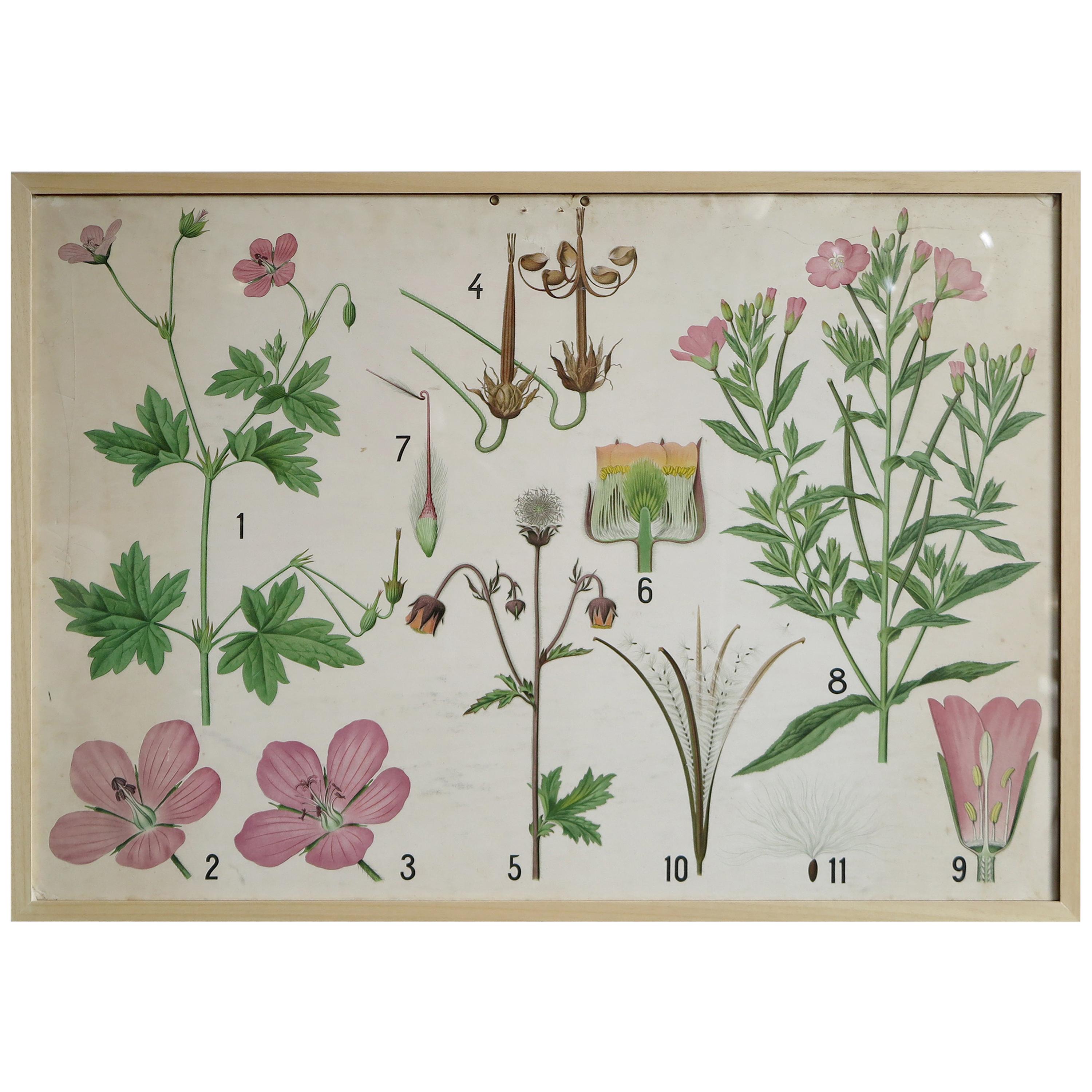 Scandinavian Mid-Century Modern Floral Botanical Illustrations Poster ...