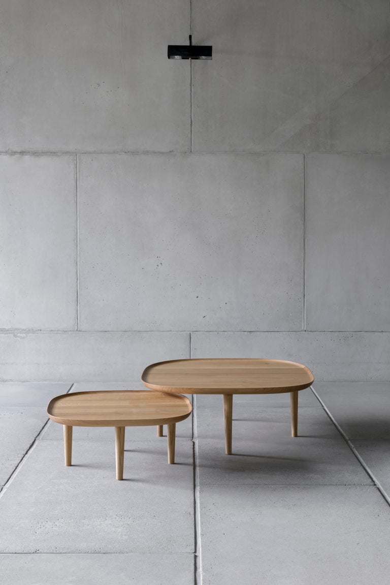 Scandinavian Modern 'Fiori' Table 65 by Antrei Hartikainen x Poiat ...