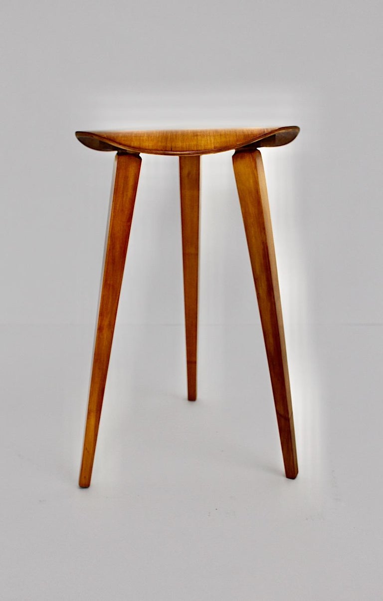 Scandinavian Modern Vintage Sculptural Organic Brown Birch Stool, 1950s ...