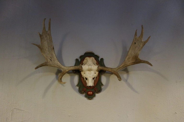 Scandinavian Moose Antlers at 1stDibs
