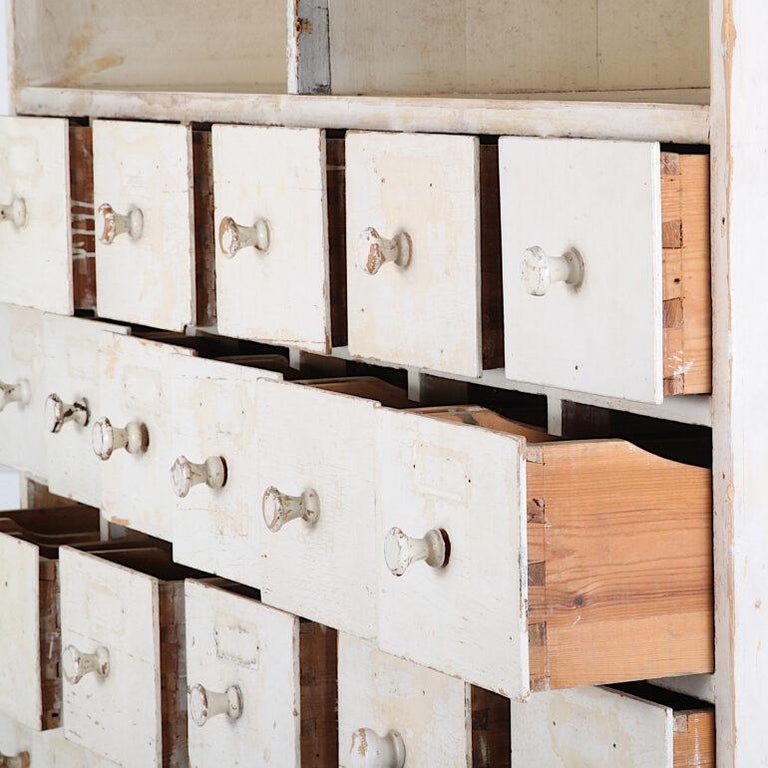 Scandinavian Multi-Drawer Apothecary or Collector's Chest at 1stDibs