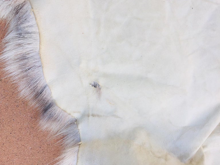 Scandinavian Reindeer Skin Hide at 1stDibs