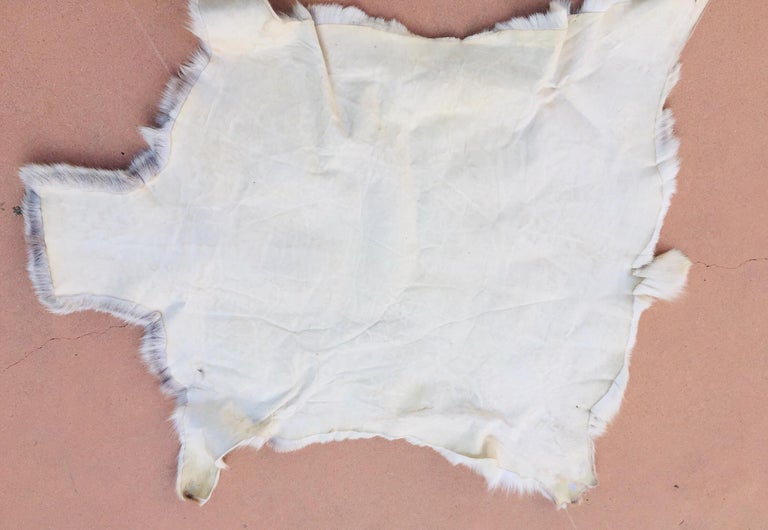 Scandinavian Reindeer Skin Hide at 1stDibs