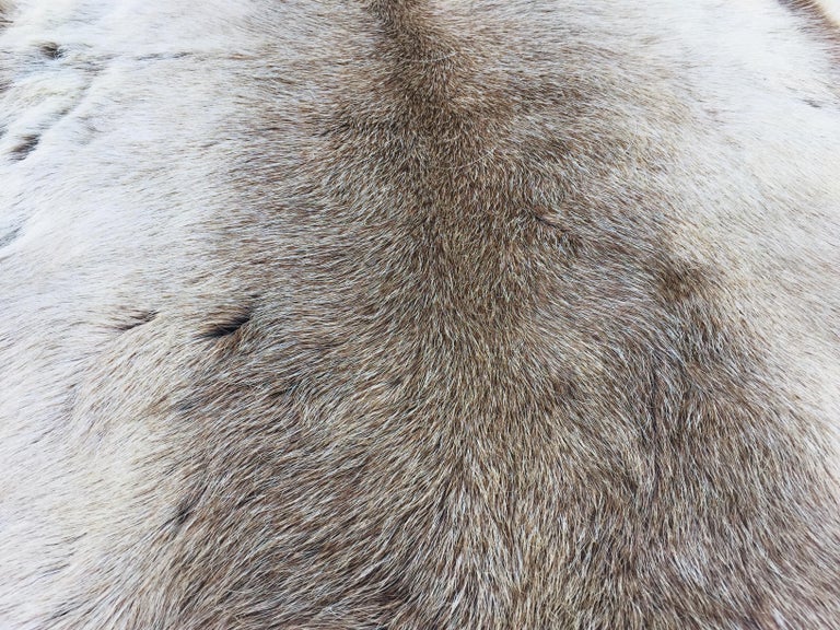 Scandinavian Reindeer Skin Hide at 1stDibs