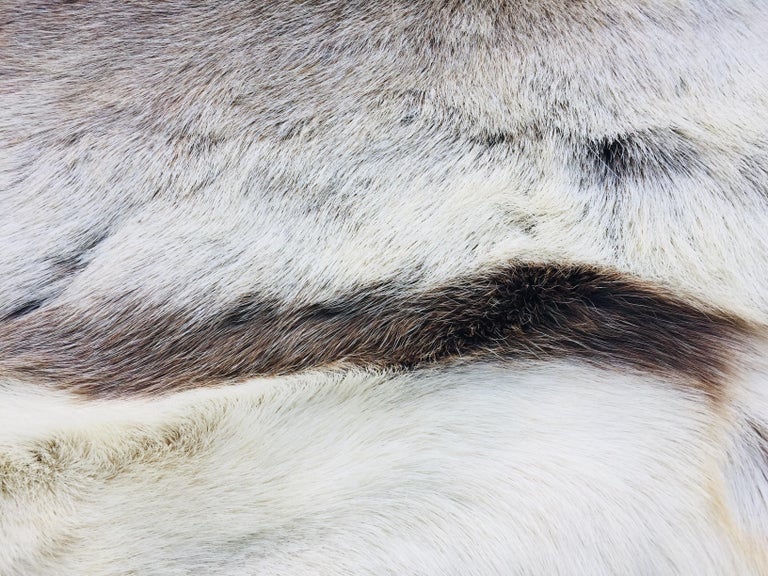 Scandinavian Reindeer Skin Hide at 1stDibs