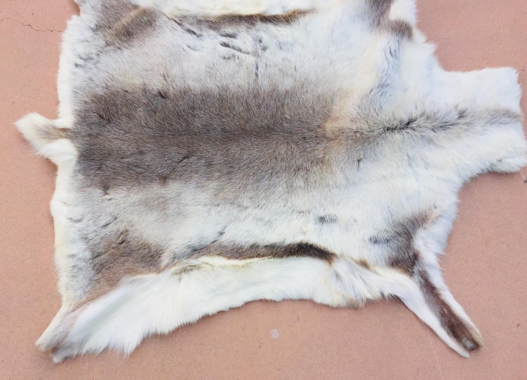 Scandinavian Reindeer Skin Hide at 1stDibs