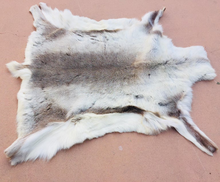 Scandinavian Reindeer Skin Hide at 1stDibs