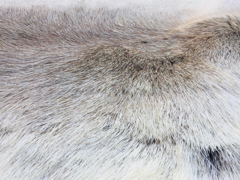 Scandinavian Reindeer Skin Hide at 1stDibs