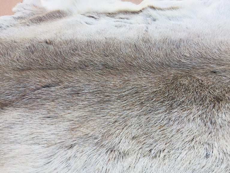 Scandinavian Reindeer Skin Hide at 1stDibs