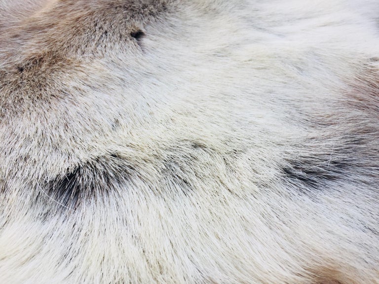 Scandinavian Reindeer Skin Hide at 1stDibs