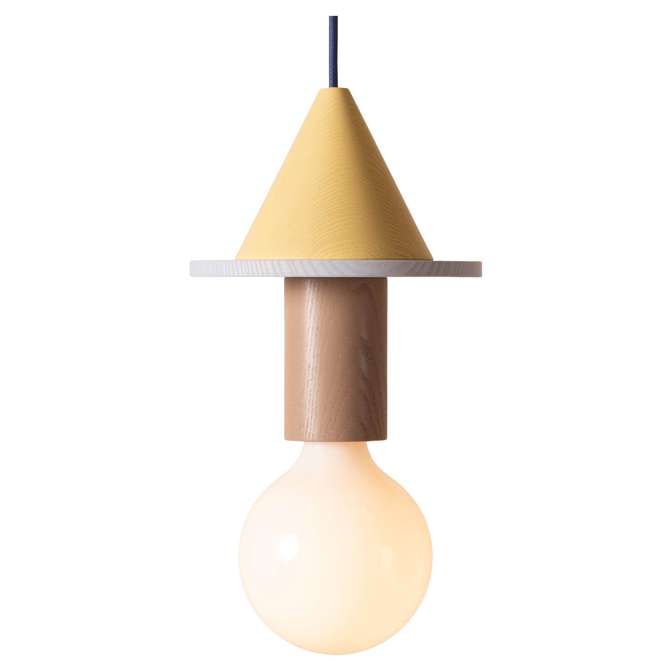 Schneid Studio Junit Meringe, Pendant Lamp For Sale at 1stDibs