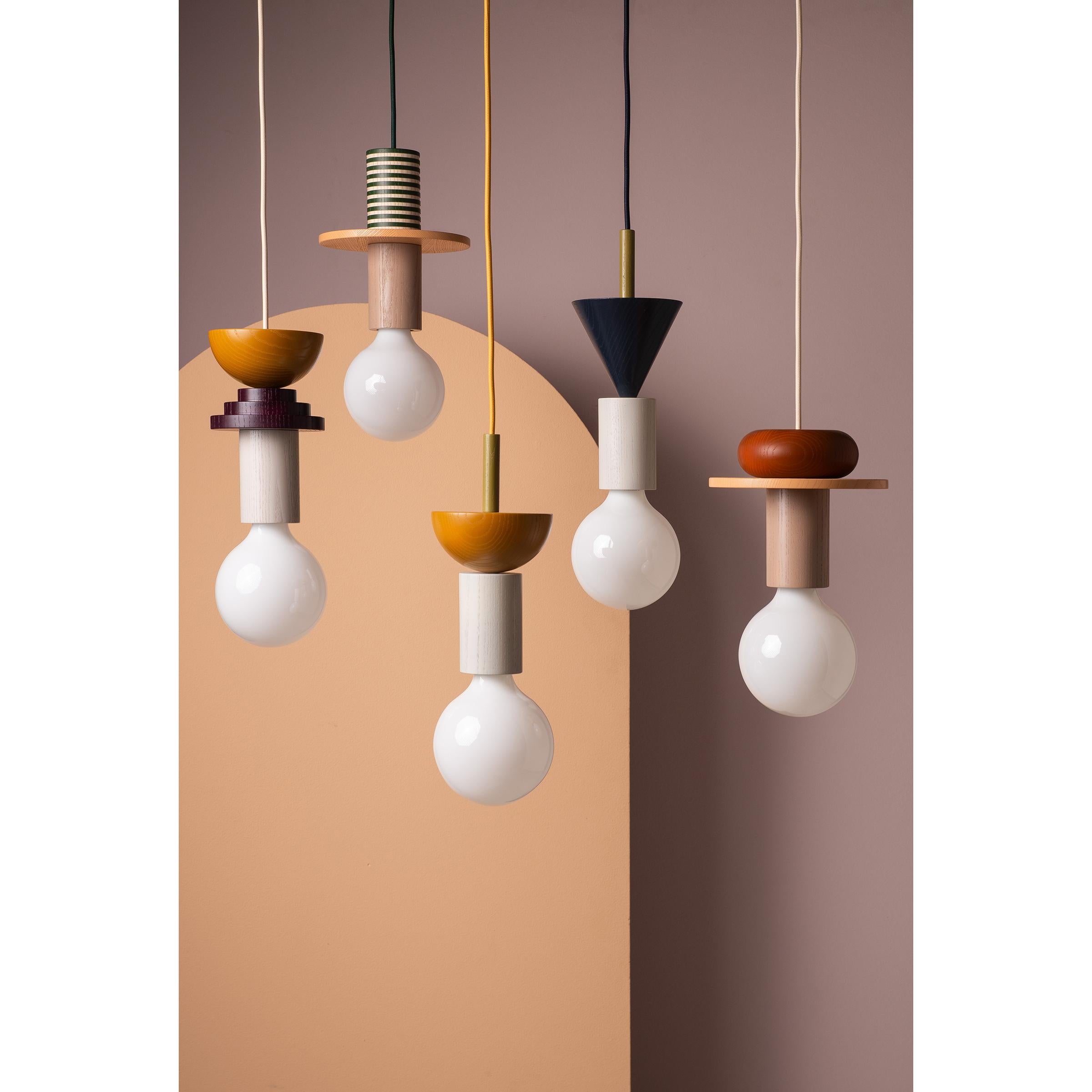 Schneid Studio Junit Tame, Pendant Lamp For Sale at 1stDibs