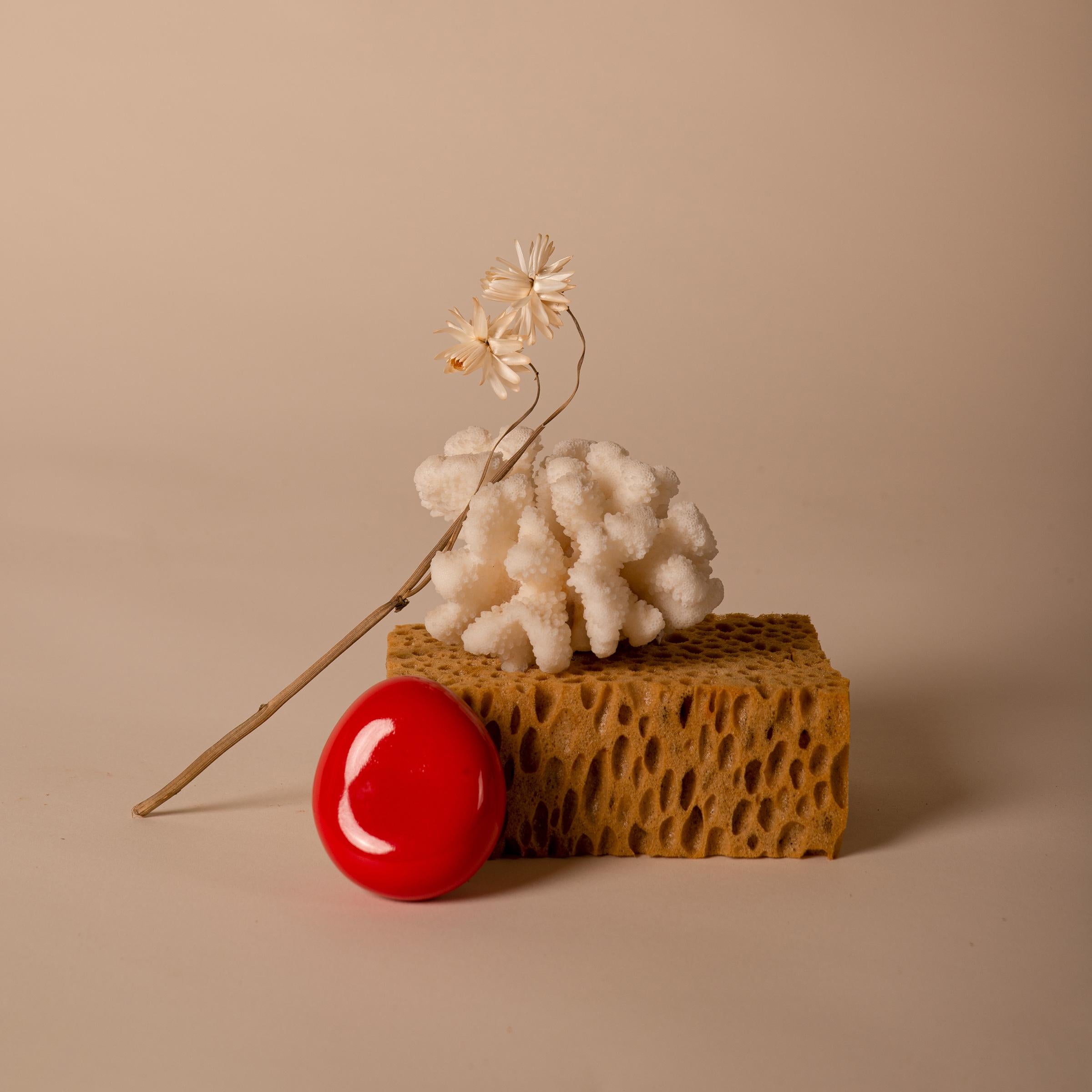 Schneid Studio the Pebble, Wall Hook For Sale at 1stDibs