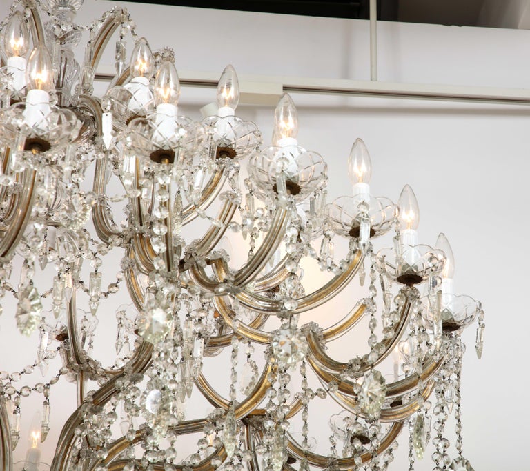 Schonbek Louis XVI Crystal Chandelier For Sale at 1stDibs