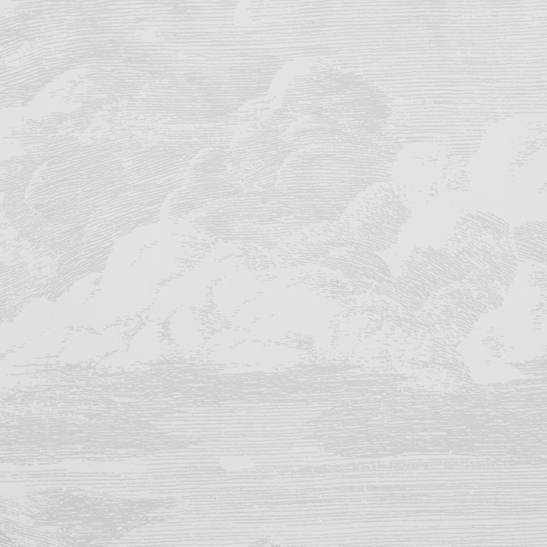 Schumacher Cloud Toile Wallpaper in Quartz For Sale at 1stDibs