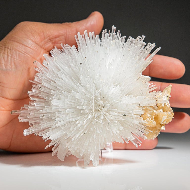 Scolecite on Stilbite From Nasik District, Maharashtra, India (249 ...