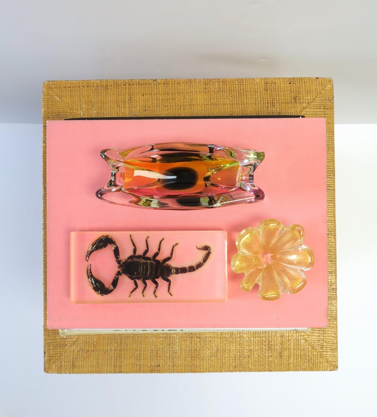 Scorpion Scorpio Encased in Pink Acrylic Lucite, circa 1970s For Sale ...