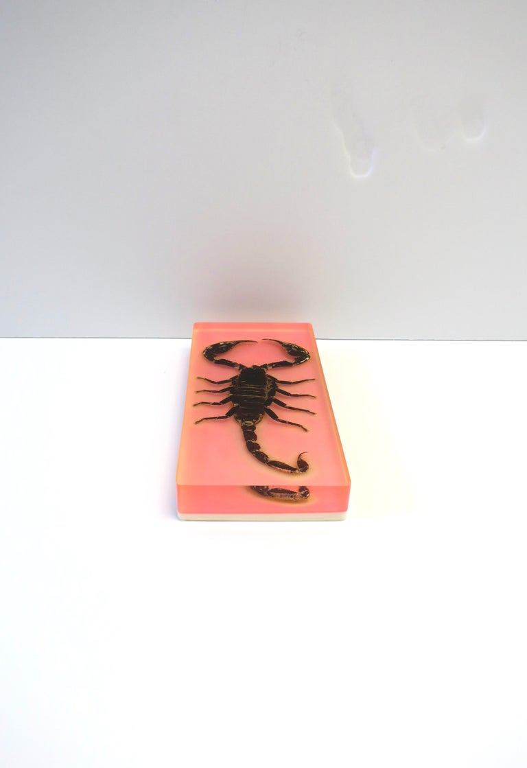 Scorpion Scorpio Encased in Pink Acrylic Lucite, circa 1970s For Sale ...