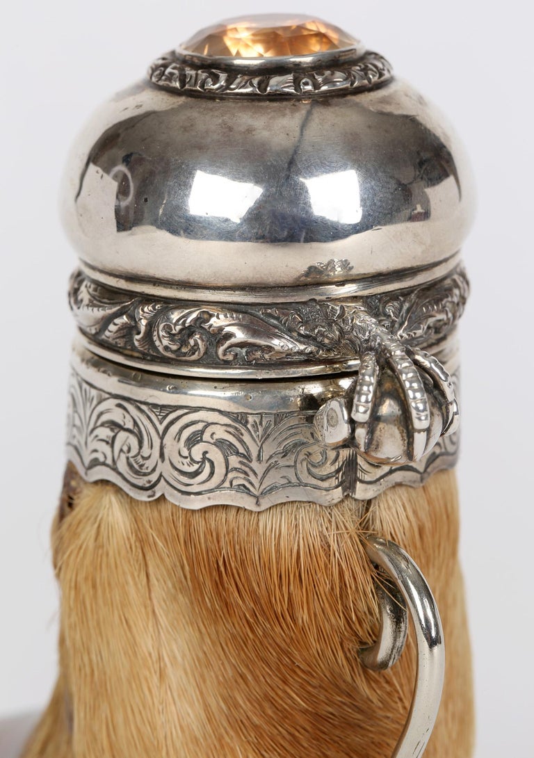 Scottish Antique Silver Mounted Hoof Table Snuff Box at 1stDibs