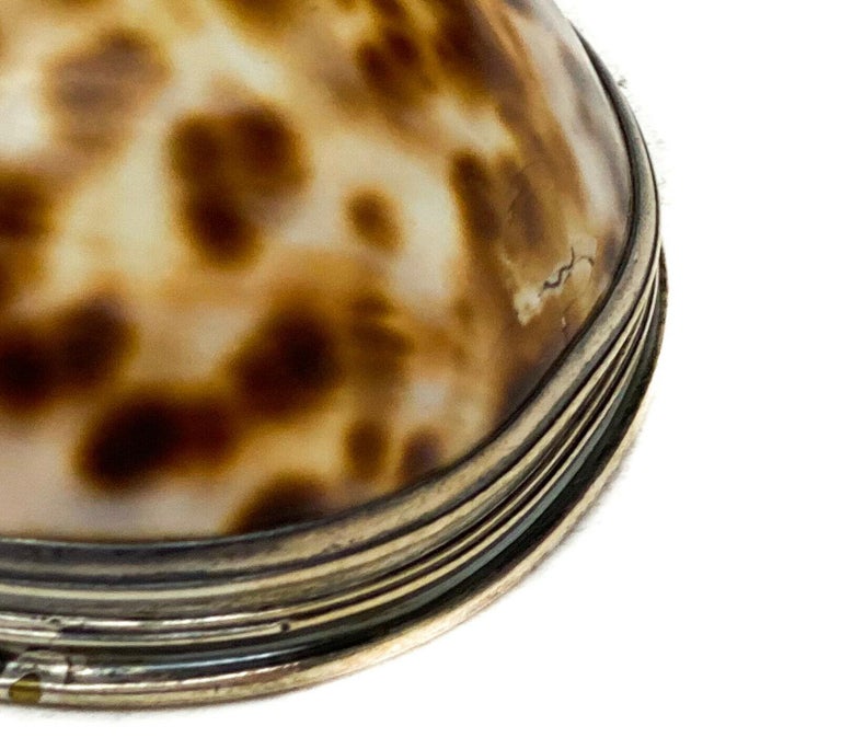 Scottish Sterling Silver Cowry Shell Snuff Box, George III, 1799 For ...