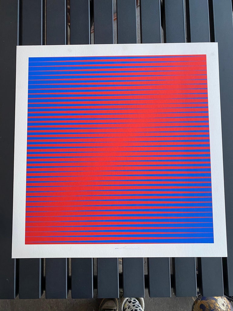 Screenprint in good condition by the Italian Op-Art artist Getulio ...