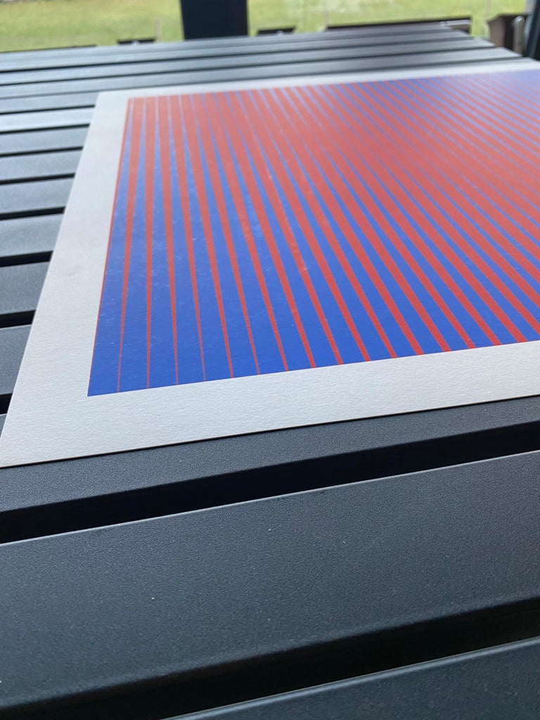 Screenprint in good condition by the Italian Op-Art artist Getulio ...