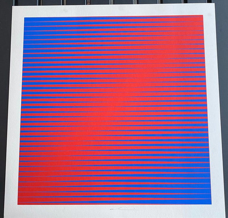 Screenprint in good condition by the Italian Op-Art artist Getulio Alviani. For Sale at 1stDibs