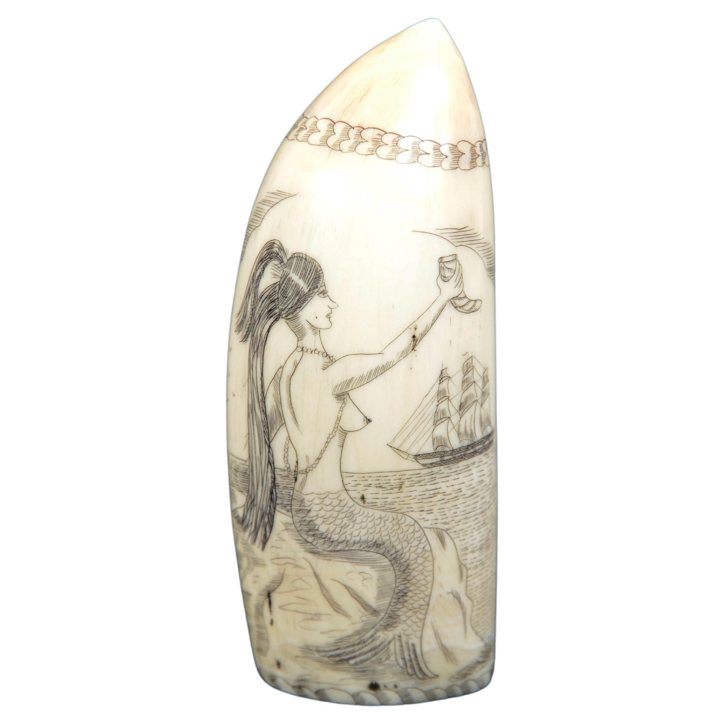 Scrimshaw of vertically engraved orca tooth depicting vessel mid-19th ...
