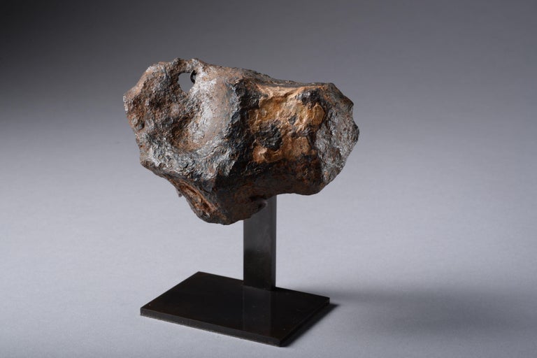 Sculptural Canyon Diablo Iron Octahedrite Meteorite at 1stDibs