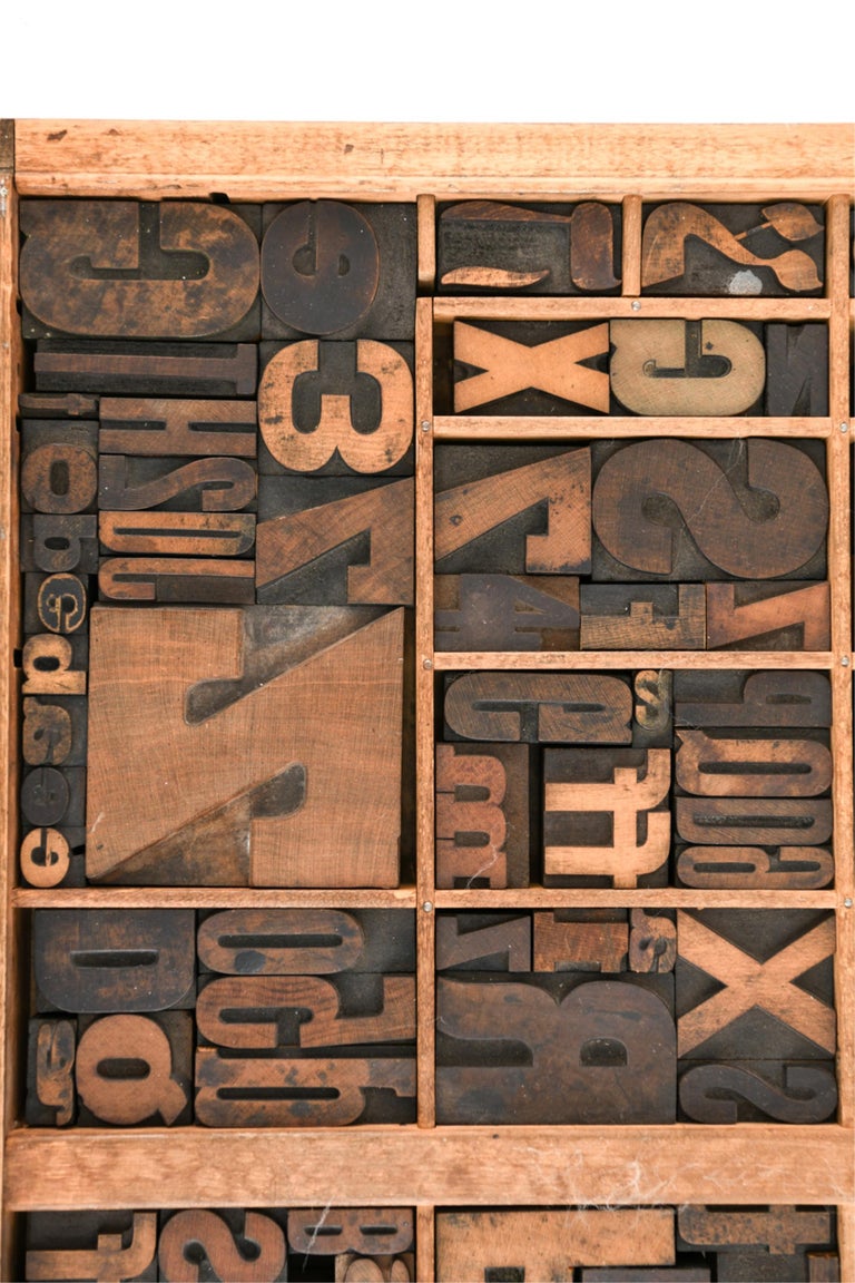 Sculptural Display Printing Blocks in Tray For Sale at 1stDibs