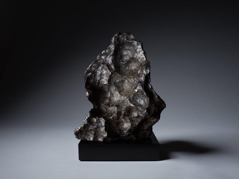 Sculptural Gibeon Iron Meteorite For Sale at 1stDibs