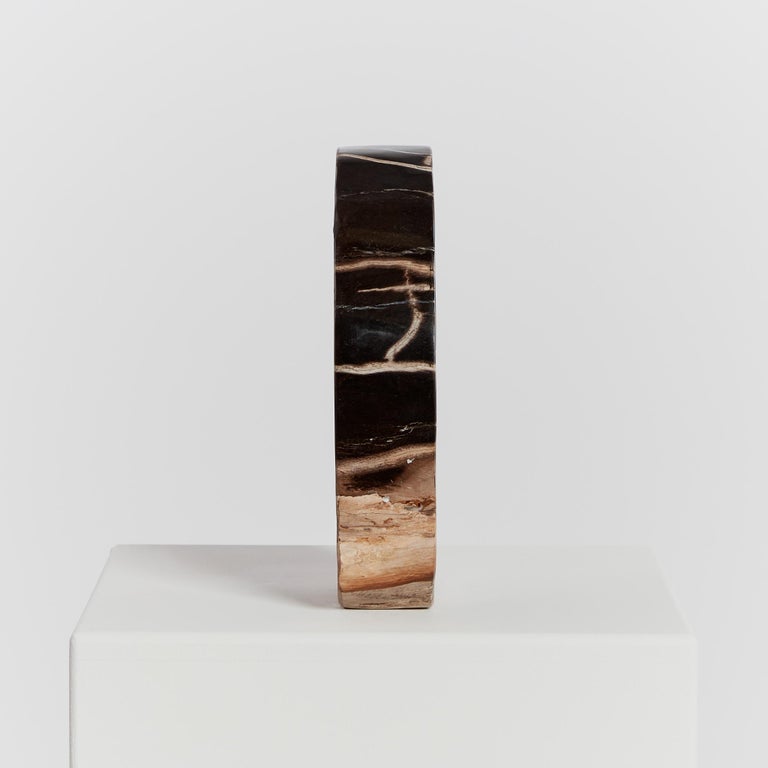 Sculptural Petrified Wood Slab Dish at 1stDibs