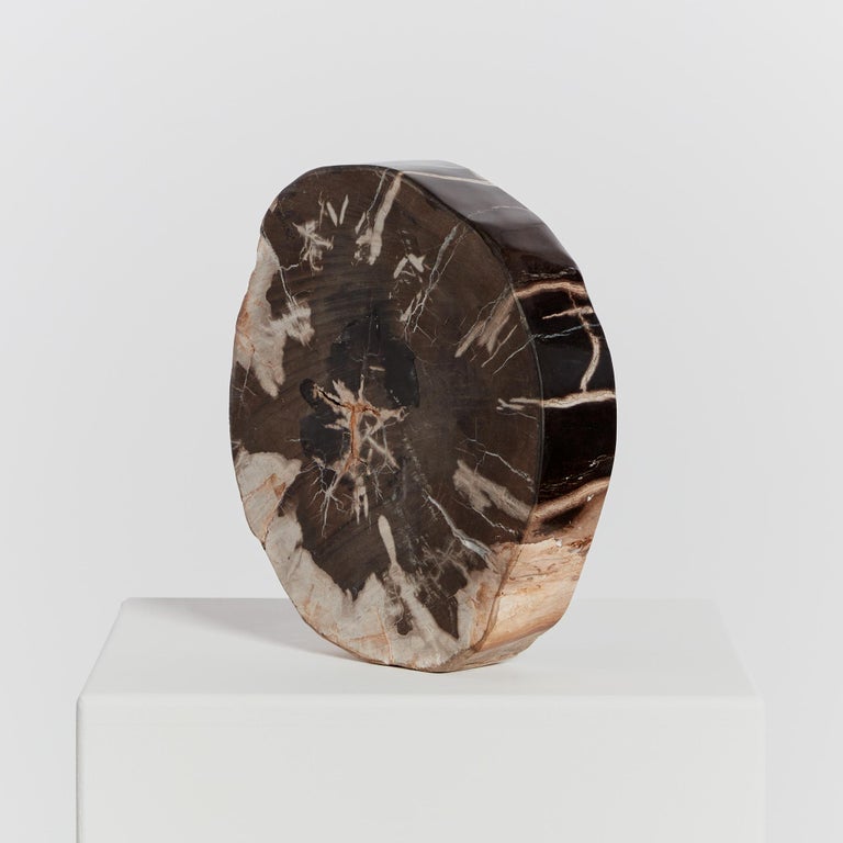 Sculptural Petrified Wood Slab Dish at 1stDibs