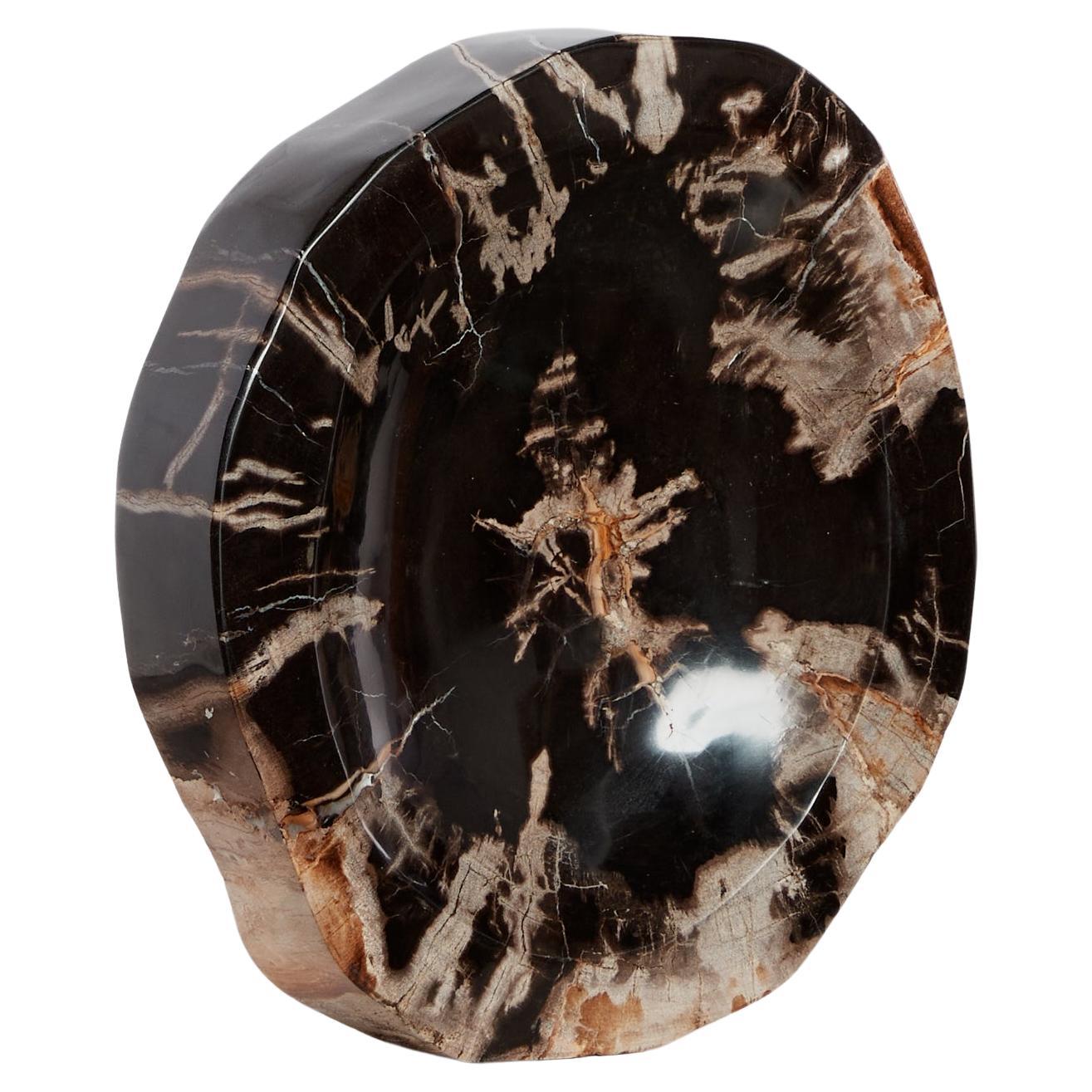 Sculptural Petrified Wood Slab Dish at 1stDibs