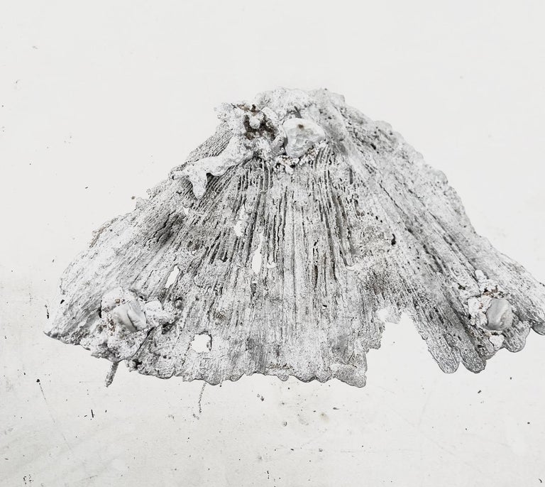 Sculptural Side Table in Pewter and Aluminum Metal 21st Century by ...