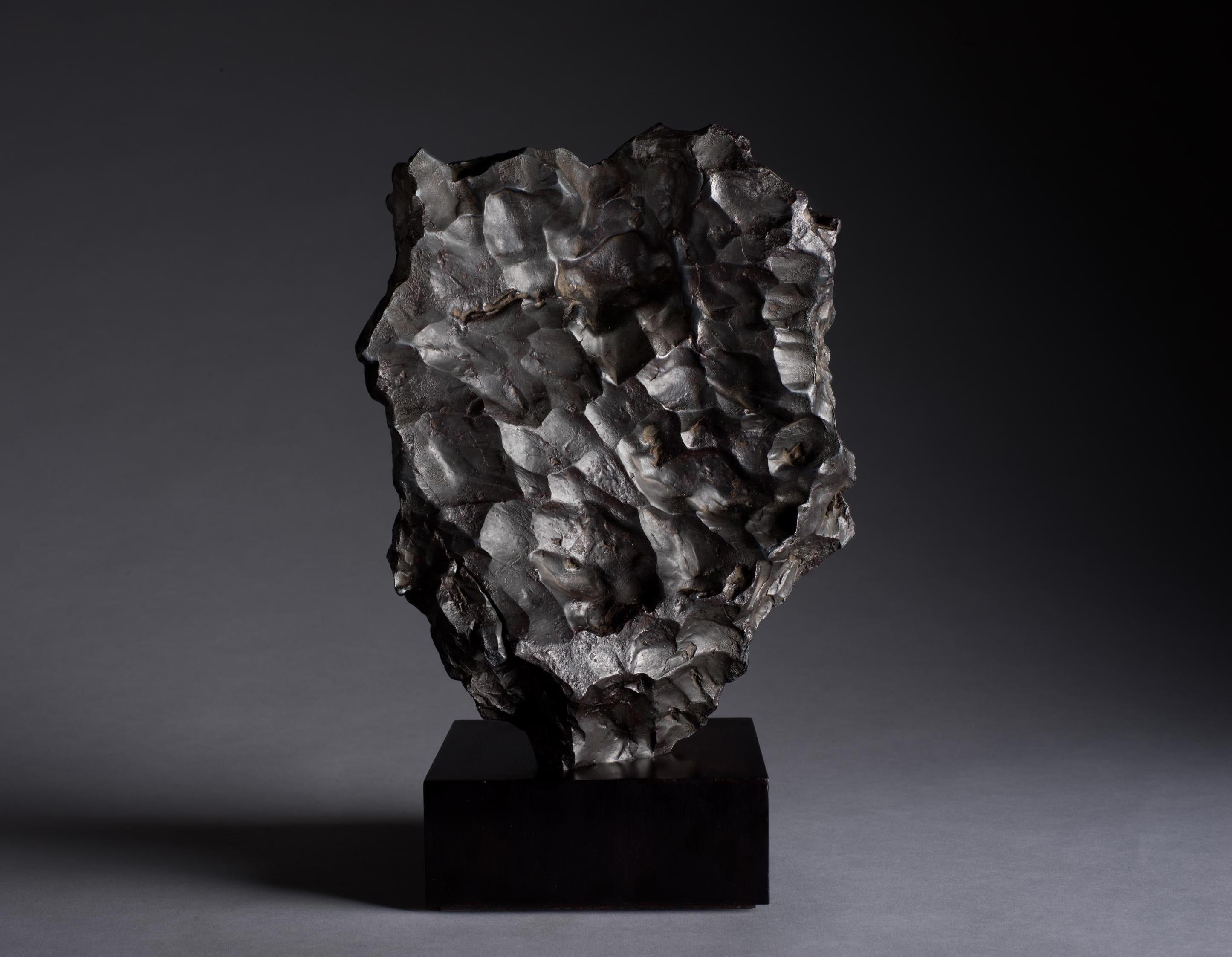 Sculptural Sikhote-Alin Meteorite For Sale at 1stDibs | sikhote alin ...