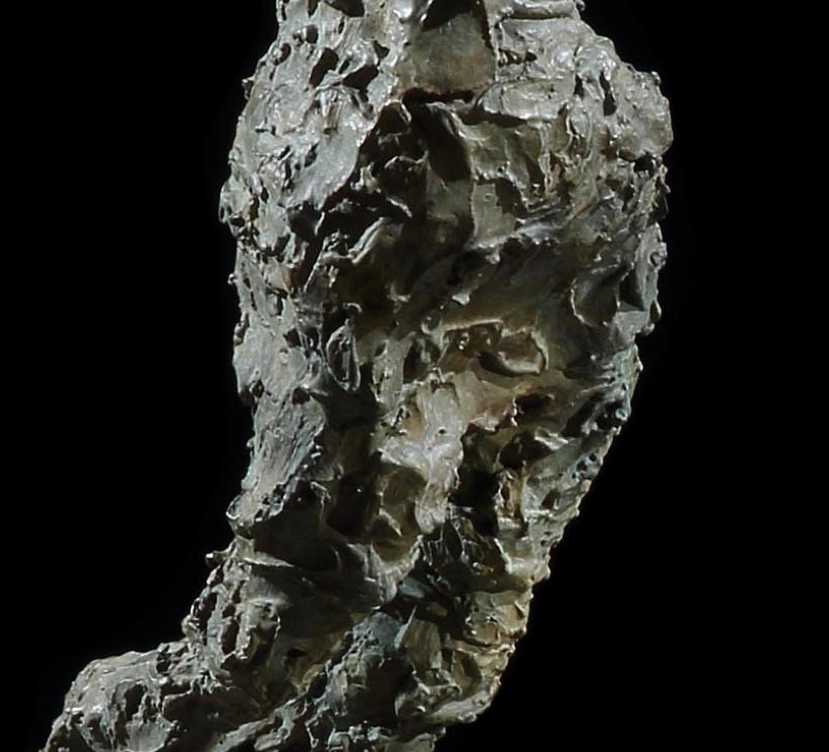 Sculpture Hares Boxing Pair Bronze Stephen Charlton 2/9 For Sale at 1stDibs